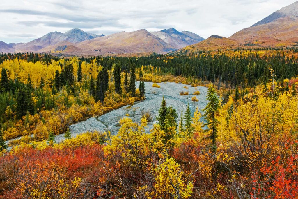 Visiting 8 EPIC ALASKA National Parks (A Very Helpful Guide)